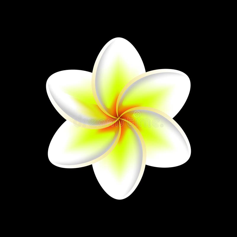 Tonga Flower Stock Illustrations – 53 Tonga Flower Stock Illustrations ...