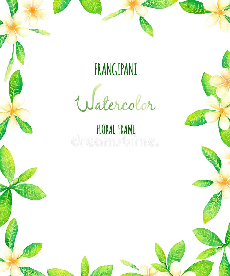 Monoi Flower Stock Illustrations – 25 Monoi Flower Stock Illustrations ...