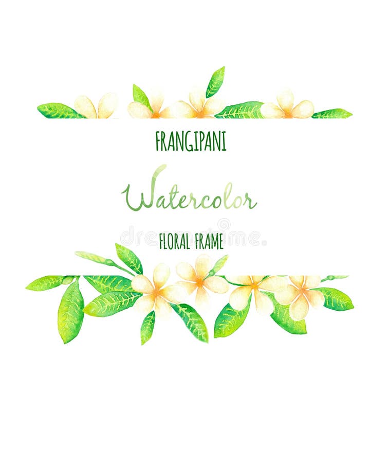 Monoi Flower Stock Illustrations – 25 Monoi Flower Stock Illustrations ...