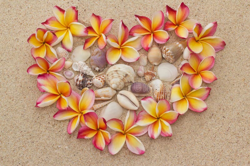 Frangipani, Plumeria Flowers in Shape of Heart Stock Photo - Image of ...