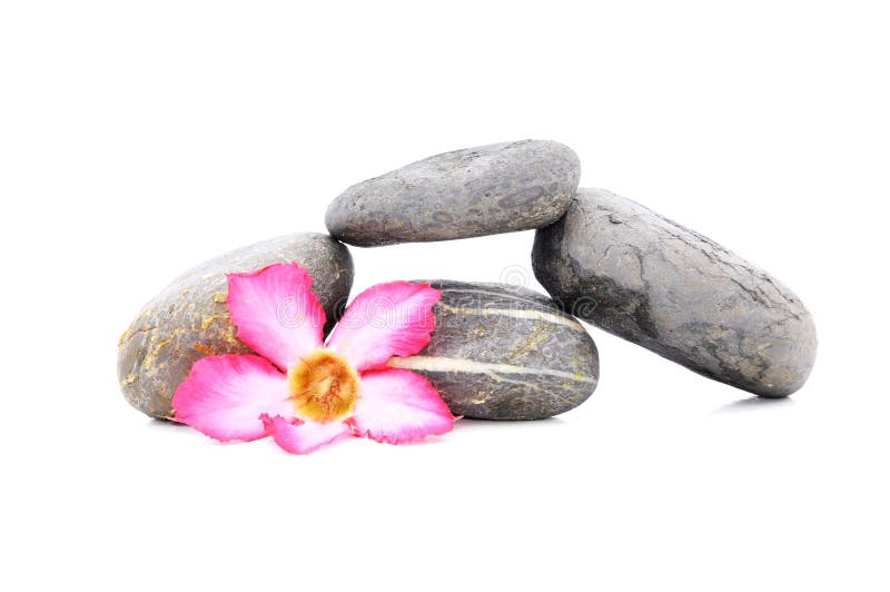 Frangipani and Zen Stone stock image. Image of bali, beautiful - 38167157