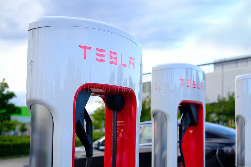 Sobrealimentadores De Tesla En La Lectura Verde Del Parque Fotografía