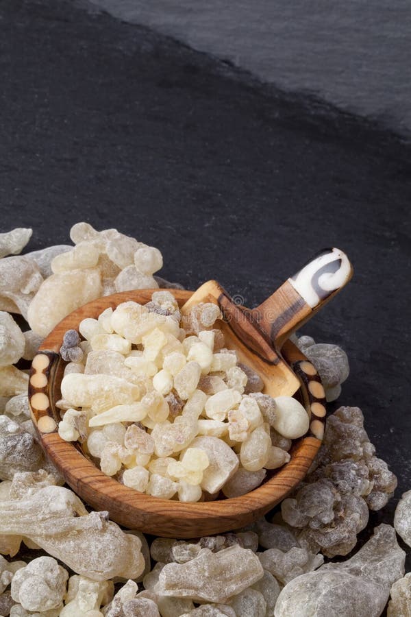 Frankincense stock image. Image of doka, bark, burseraceae - 65516297