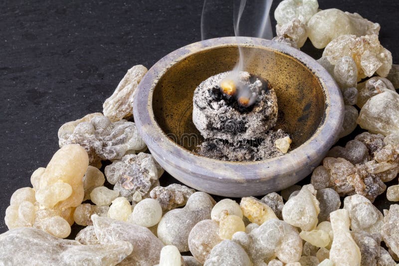 Frankincense stock image. Image of doka, bark, burseraceae - 65516297