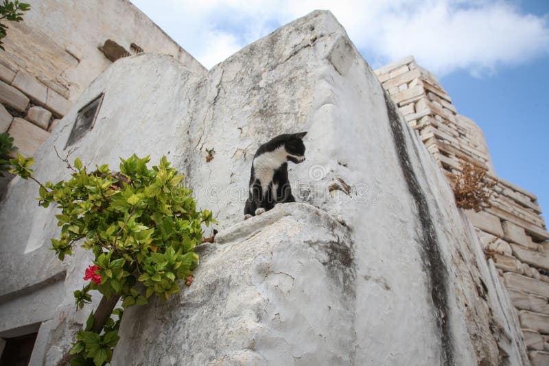 Frankish Castle, Paros, Greece Editorial Image - Image of historic ...