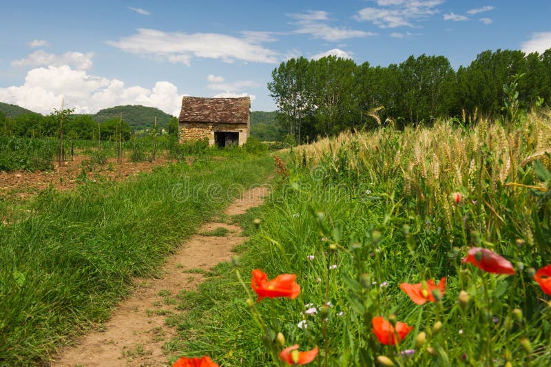 Frans landschap stock foto. Image of zomer, nave, schuur - 34432748