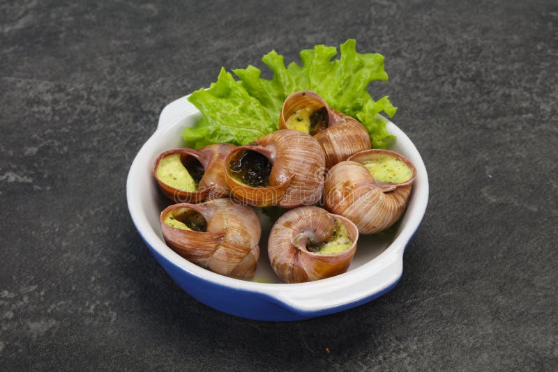 Escargot stock foto. Image of tuin, groen, frans, alternatief - 38193264