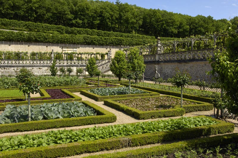 Franse formele tuin stock afbeelding. Image of geschiedenis - 10396651