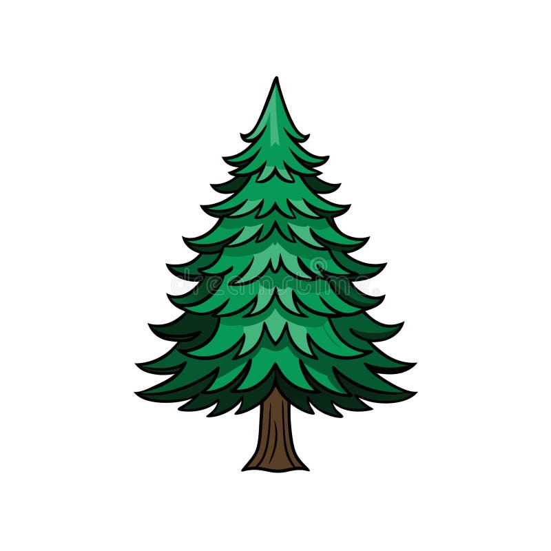 Fraser Fir Tree Design with Bold Outline Stock Photo - Illustration of ...