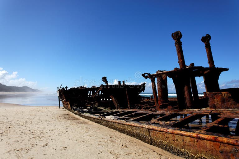 292 Beached Spiders Australia Stock Photos - Free & Royalty-Free Stock ...
