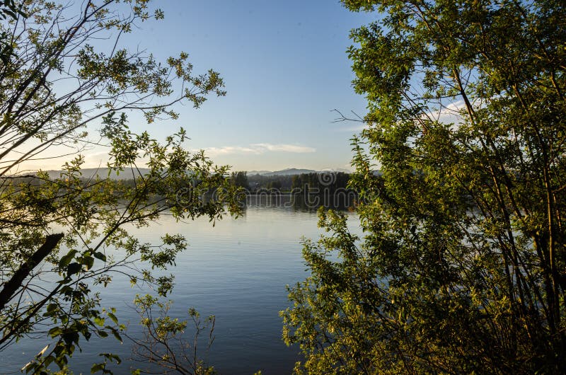 Fraser River at Matsqui, Mission, BC, Canada Stock Image - Image of ...