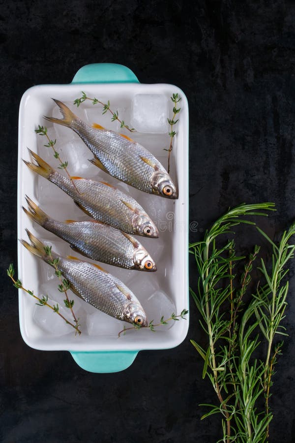 Frash Raw River Fish on Dark Metal Background with Herbs and Pieces of ...