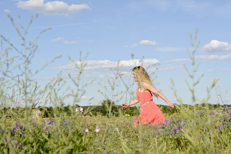 Frau auf einer Blumenwiese stockbild. Bild von lächeln - 19421491