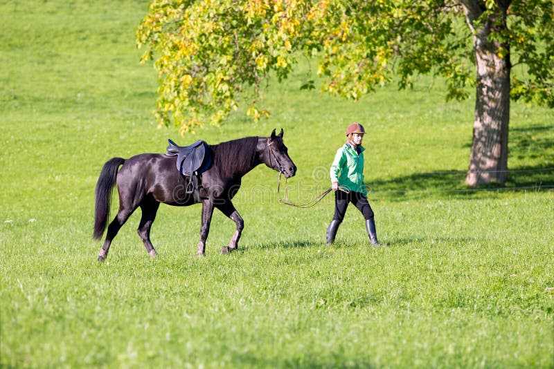 Frau, die mit Pferd geht stockbild. Bild von pferderuecken - 40603379