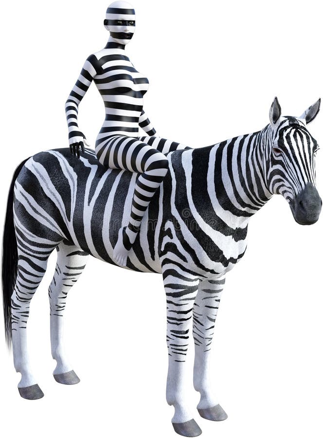 Frauen-Reitzebra, Streifen, Lokalisiert Stockfoto - Bild von frau ...