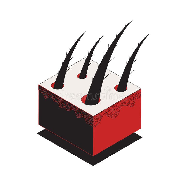 Frayed Ends Hair Composition Stock Vector - Illustration of cure ...