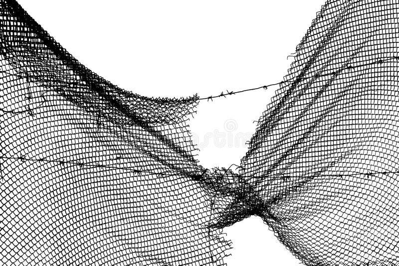 Frayed Ends of Torn Wire Mesh Fence Against White Background Stock ...