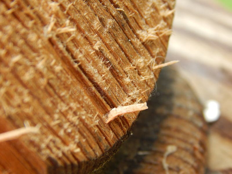 Frayed Wood stock photo. Image of frayed, nature, construction - 56415346