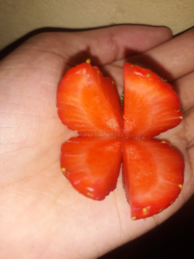 Freah Strawberry Middle Stock Photos - Free & Royalty-Free Stock Photos ...