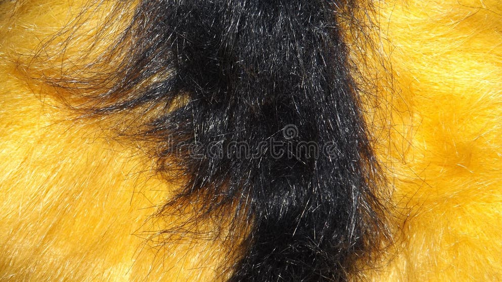 Freaky hair stock image. Image of game, sport, black - 29018107