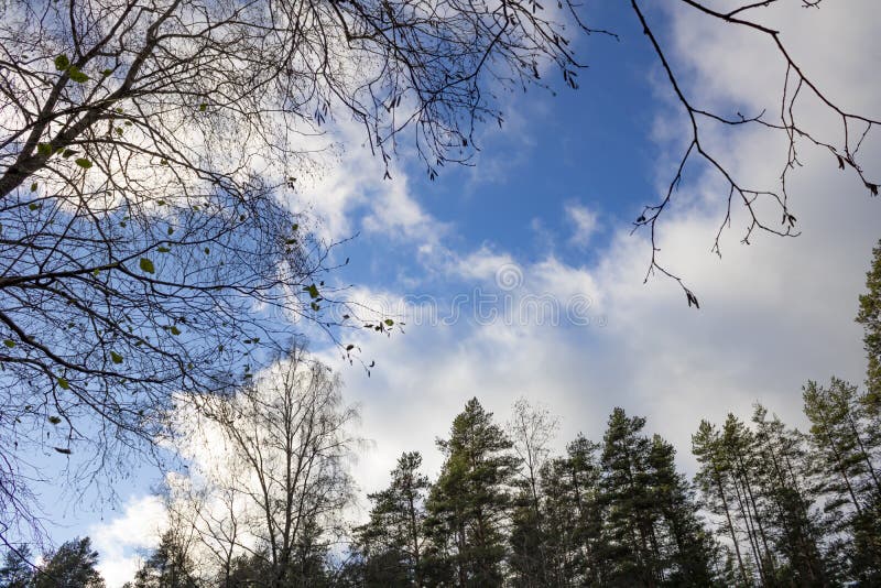 Free Area Around Objects from the Background Sky and Clouds at the ...