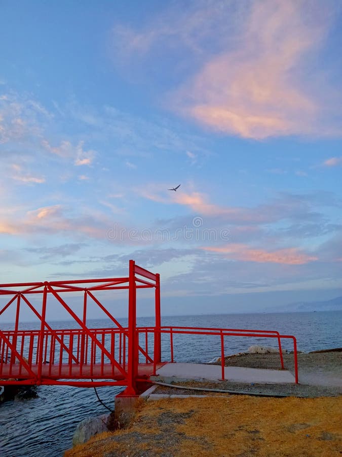 A Free Bird Flying Above the Red Bridge Landscape Stock Image - Image ...