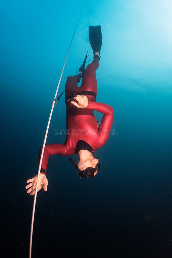 Free diver training stock photo. Image of surface, green - 81835084