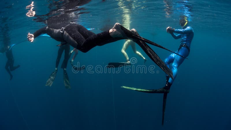 Free divers training stock image. Image of apnea, tropical - 90008385