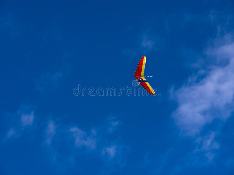 Free flight gliding stock photo. Image of blue, gliding - 37215578