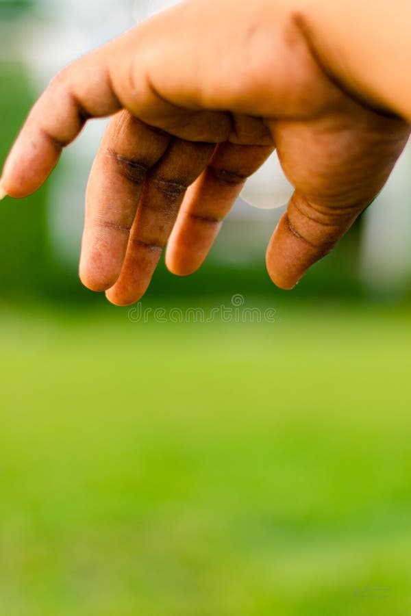 Free hands flying stock photo. Image of hands, feel - 262785104