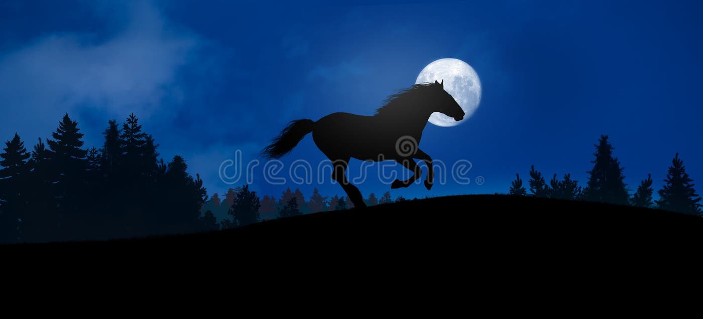 206 Horse Full Moon Stock Photos - Free & Royalty-Free Stock Photos ...