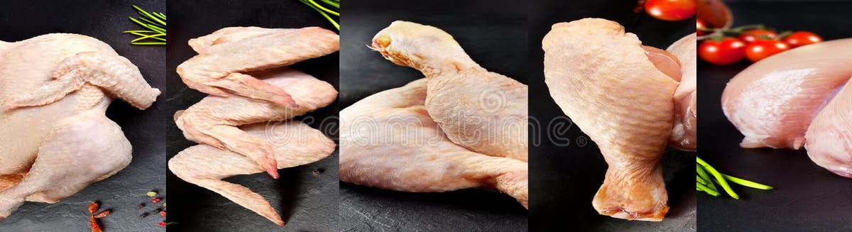 Breasts Types Stock Photos - Free & Royalty-Free Stock Photos from ... Breasts Types Stock Photos - Free & Royalty-Free Stock Photos from ...