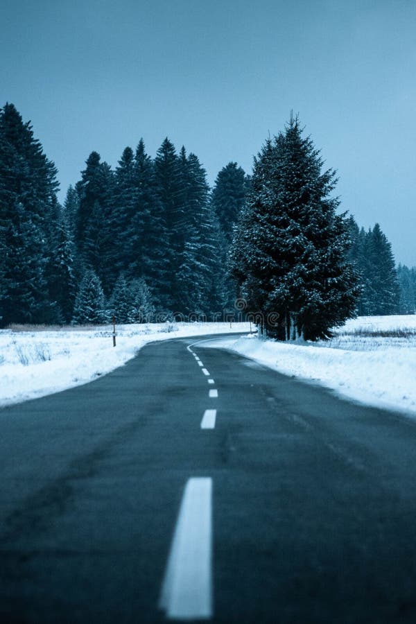Road Passing through Snowy Woody Terrain Stock Image - Image of drive ...