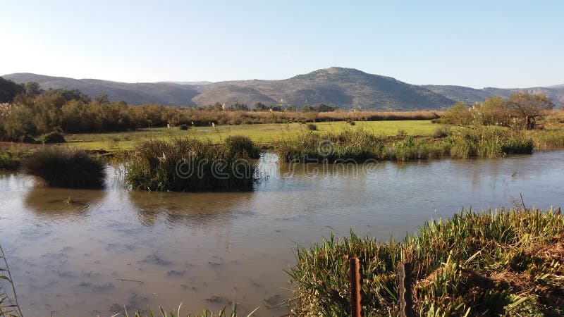 Free Simple View of Lake with a Mountain Stock Image - Image of ...