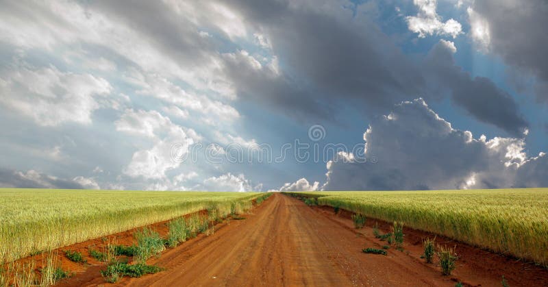 Free State Farm panorama. stock image. Image of panorama - 130605029