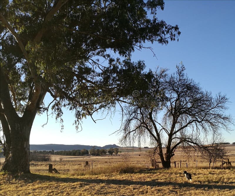 Free state landscapes stock image. Image of state, trees - 143533385
