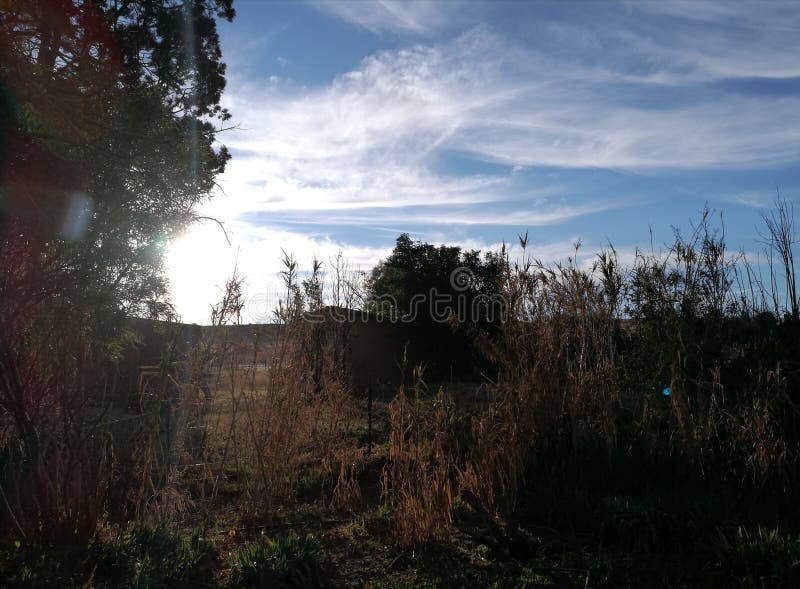 Free state landscapes stock photo. Image of state, trees - 143533606