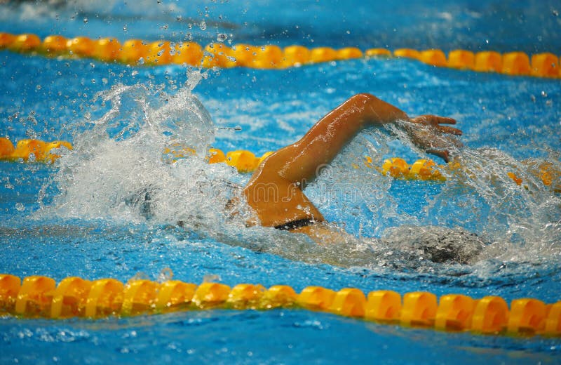Free swimmer 03 stock photo. Image of sport, freestyle - 2444462