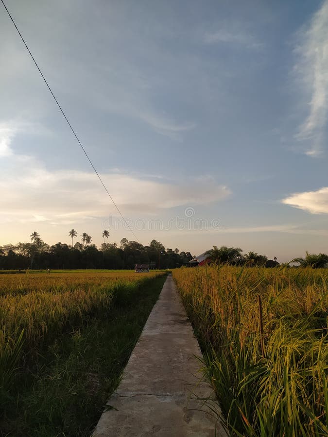 Free sunset in here stock photo. Image of lighting, reflection - 222012708