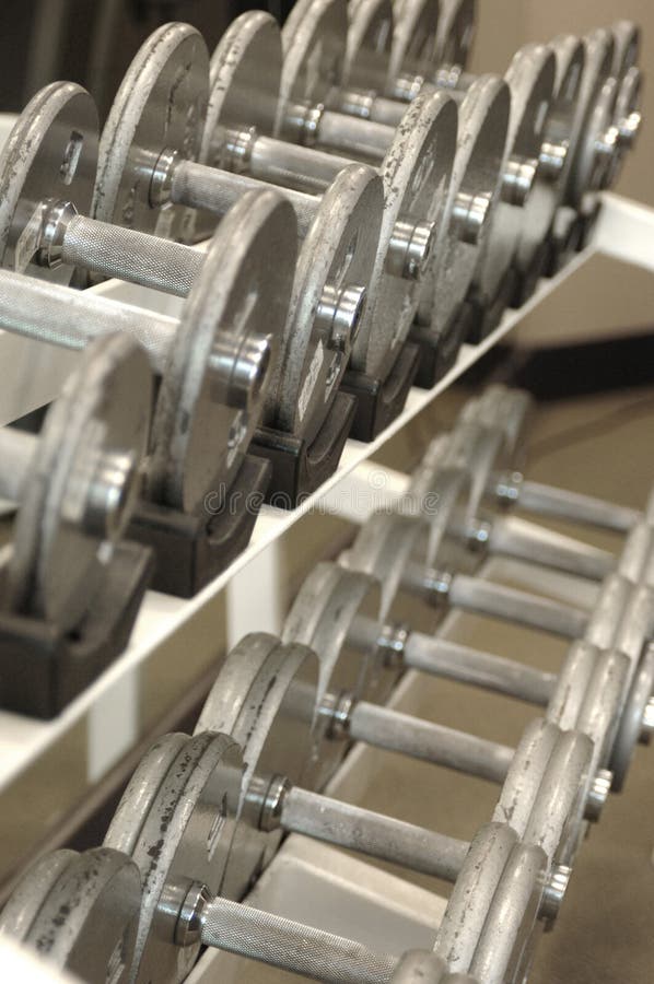 Free Weights stock photo. Image of health, dumbells, excercise - 4243522