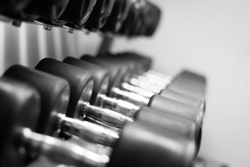 Exercise weights in rack stock photo. Image of weights - 3372076