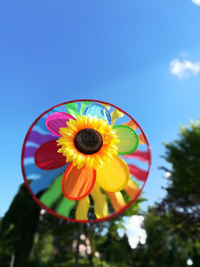 Free as a wind stock image. Image of beautiful, pretty - 5565107