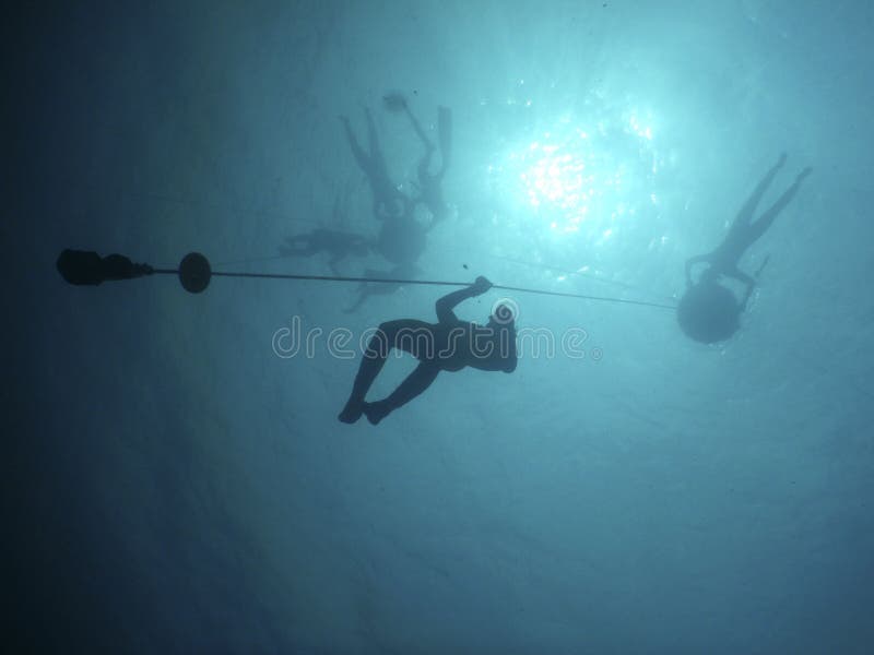 Freedive training stock image. Image of ocean, immersion - 200388353