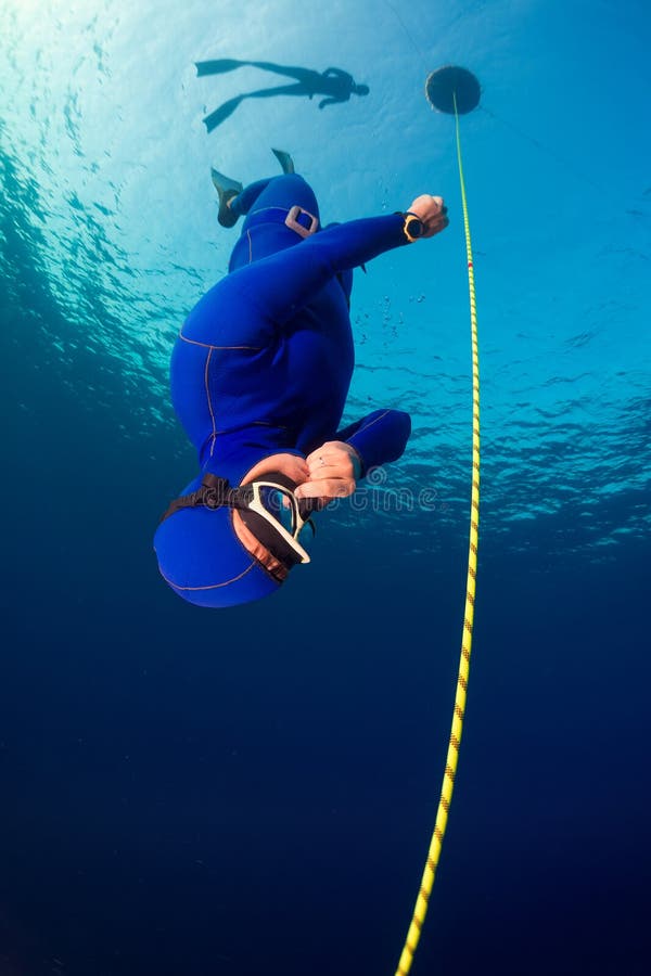Freediver stock image. Image of creature, breathless - 46435903