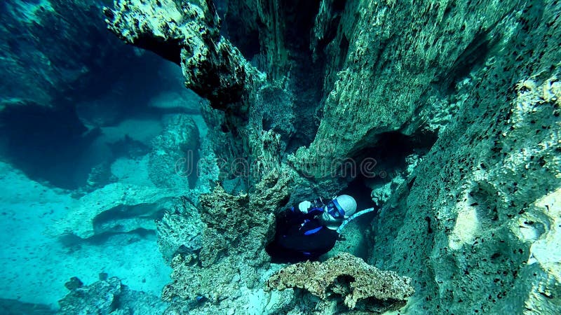 Diver in Barracuda Lake Tunnel Stock Image - Image of freediving ...