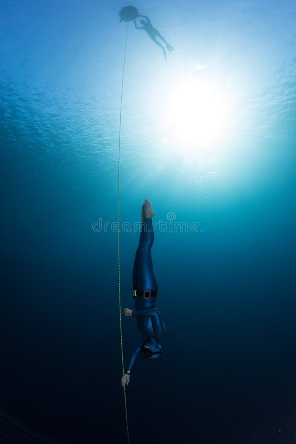 Free diver stock image. Image of extreme, adventure, rays - 16275447