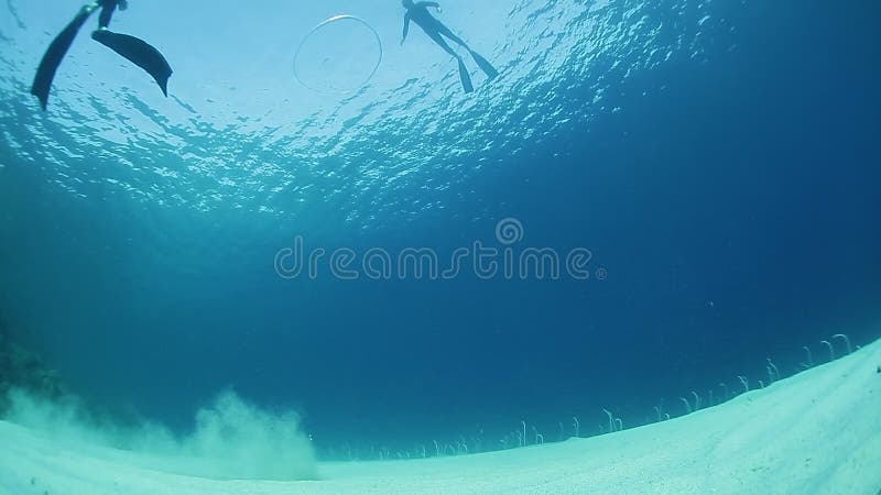 Freediver Makes Ring Bubble Underwater Stock Video - Video of apnea ...