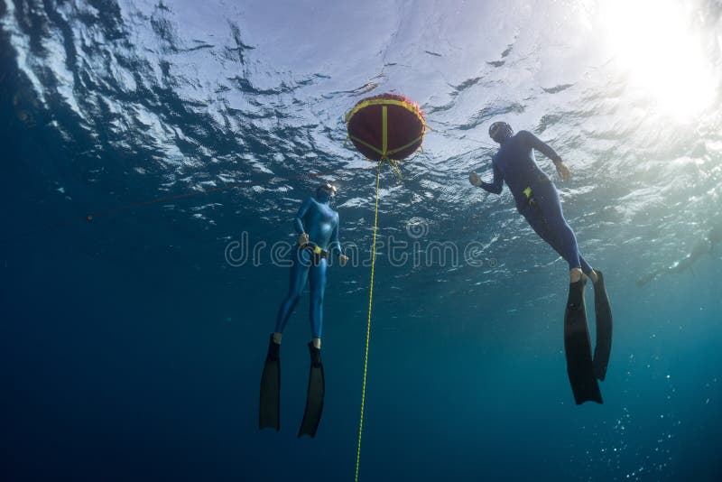 Freedivers stock photo. Image of diving, buddy, marine - 46434610