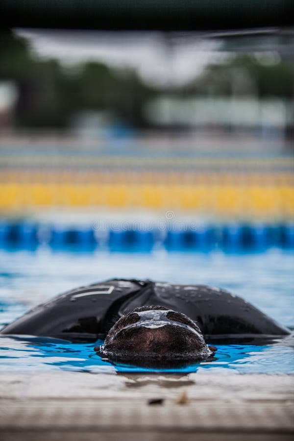 Record Holding Breath Underwater Cuba Stock Photos - Free & Royalty ...