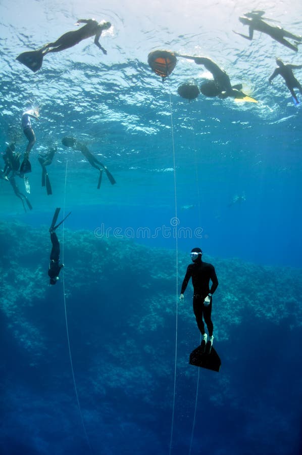 Freediving training stock photo. Image of freediving - 14724524